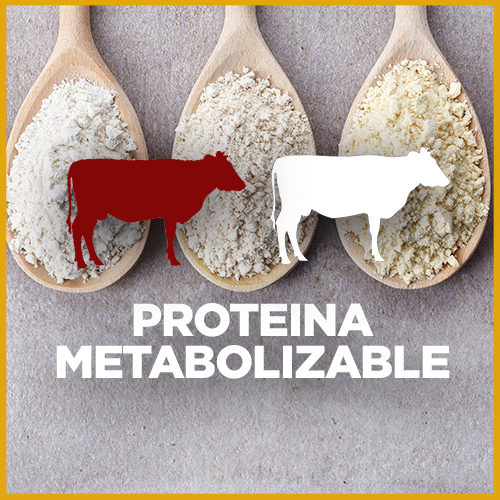 Proteína metabolizable - Dial Vacuno