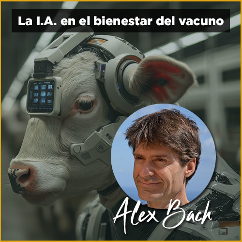 Entrevista con Alex Bach, la I.A. en el bienestar del vacuno - Dial Vacuno